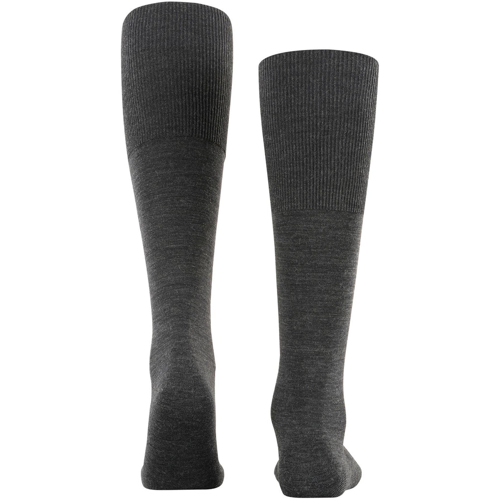 Airport Plus Knee High Socks - Men's – SocksFox